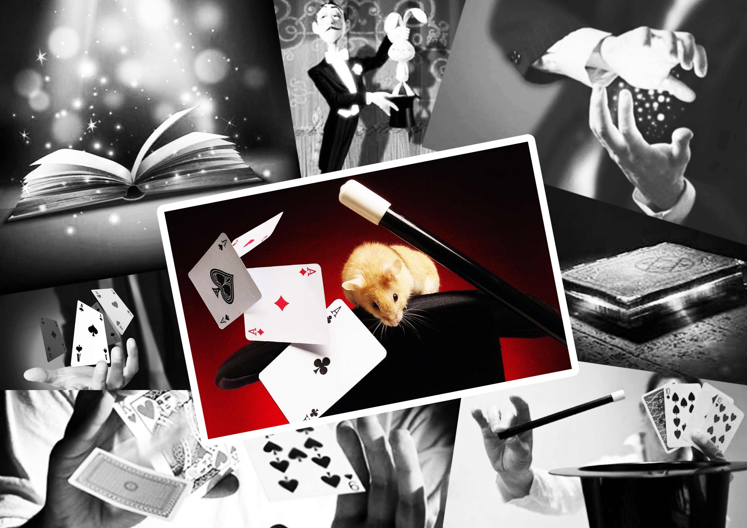 Mes conseils pour bien apprendre la Magie - Mark Enzo